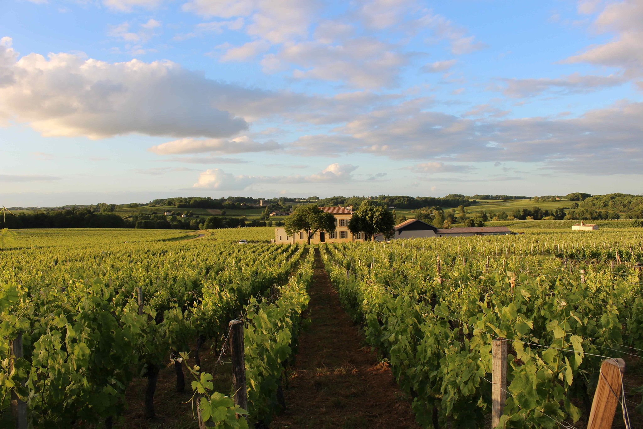 Château Grangey - Village Vigneron en Transition