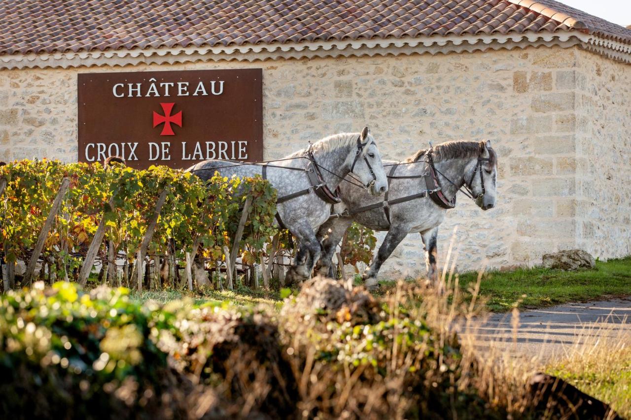 Château Croix de Labrie - Village Vigneron en Transition